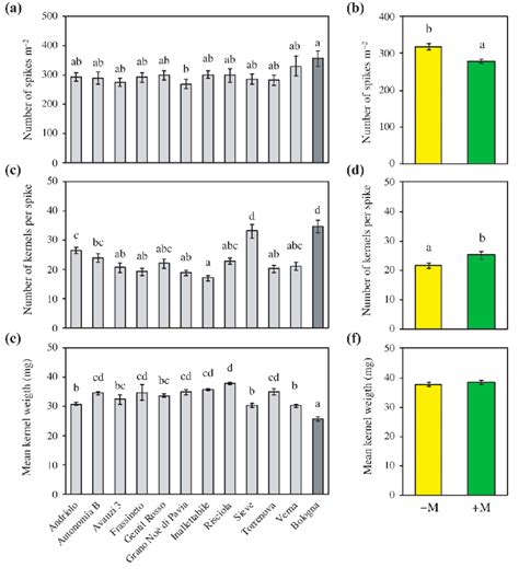 Effects Of Wheat Genotype On Plant Height A And Grain Yield B
