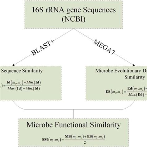 Calculation Process Of Microbe Functional Similarity Download