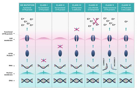 Aim Treatment Of Cystic Fibrosis