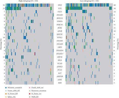 Details Of Gene Set Enrichment And Somatic Mutation Analyses Between