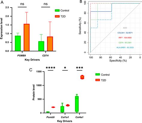 Validation Of Key Drivers A Rt Qpcr Analysis Of The Mrna Expression Download Scientific