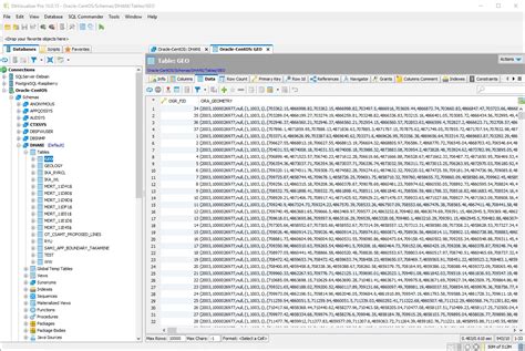 how to connect and manage oracle database using dbvisualizer software