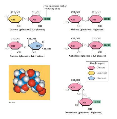 Oligosaccharides