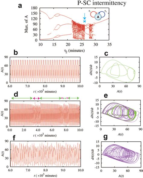 Intermittent Dynamics Between Periodic And Strong Chaotic Modes For A