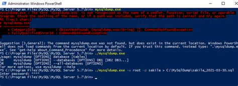 php mysqldump is not recognized as an internal or external command