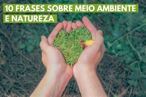 10 Frases Sobre Meio Ambiente E Natureza Ciclovivo
