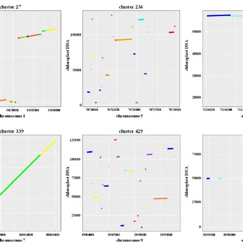dot plot analysis of some typical nupt clusters nupt cluster names are