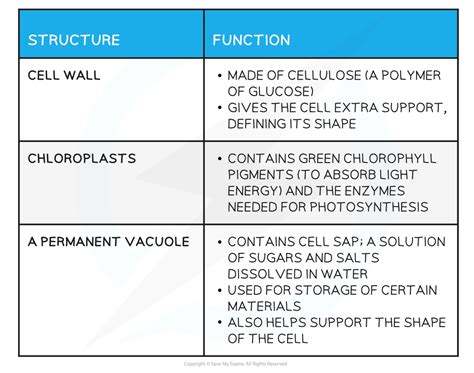 Edexcel Igcse Biology Double Science 复习笔记 1 2 2 Eukaryotic Organisms