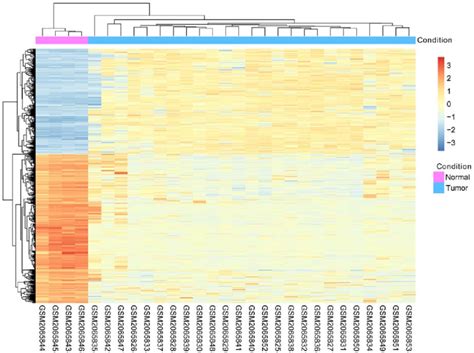Hierarchical Cluster Map Of Degs Horizontal Axis Indicates The Names