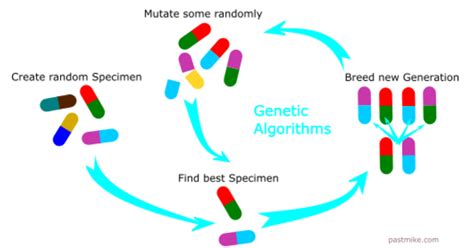 Week 4 1 Genetic Algorithm Skill Lync