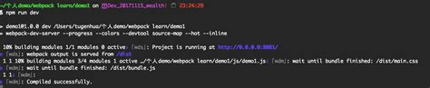 深入理解webpack（二） webpack dev server基本配置 走看看