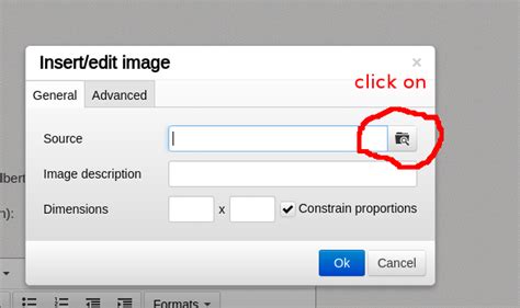 tinymce responsive filemanager with tinymc in laravel 4