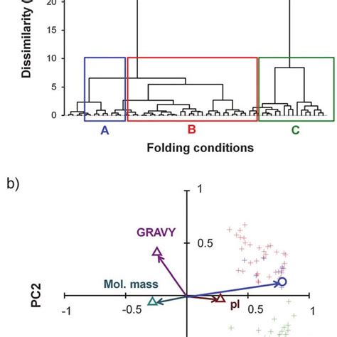 A Dendrogram Obtained Using Hca Analysis On The Different Folding