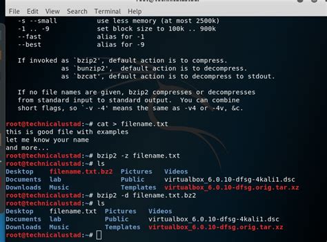 kali linux commands list for beginners updated 2021