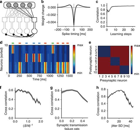 somatodendritic consistency check for temporal feature segmentation