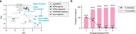 Molecular Basis Of Ligand Dependent Nurr1 Rxrα Activation Elife