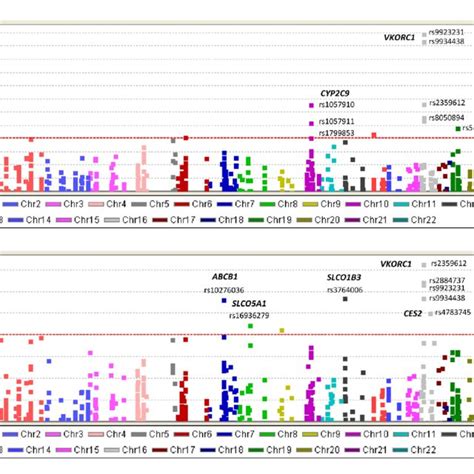 Single Nucleotide Variants Snvs At Cyp2c9 Associated With Warfarin