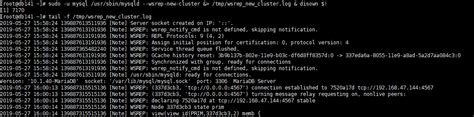 mariadb报：error 2002 hy000 can t connect to local mysql server