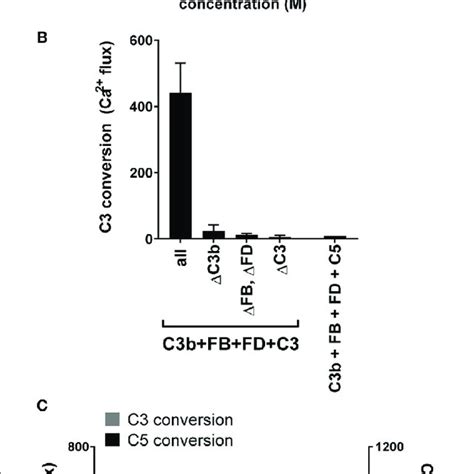 Development Of An Alternative Pathway Ap C3 Convertase Model A
