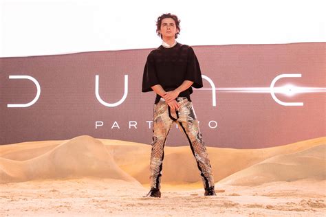 Kylie Jenner Thirst Traps May Confirm Timothee Chalamet Split