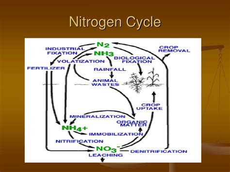 Ppt Variable Rate Nitrogen Application In Corn Production Powerpoint