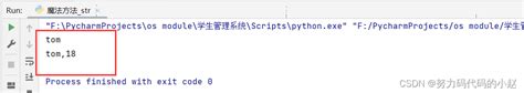 python魔法方法之 str python魔法方法str 努力码代码的小赵的博客 csdn博客