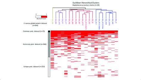 Heat Map From The Shotgun Proteomics Analysis Of 20 Foodborne Strains