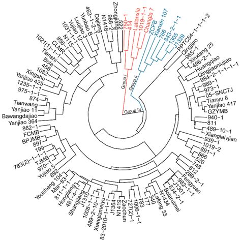 Horticulturae Free Full Text Comparative Transcriptome Analysis