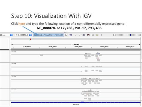 Introduction To Rna Seq And Transcriptome Analysis Ppt Download