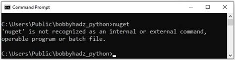 “nuget”未被识别为内部或外部命令 码微