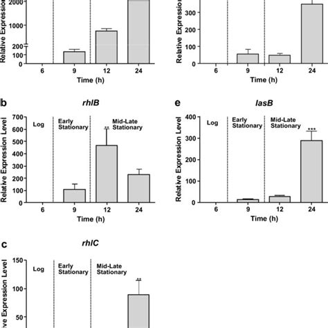 Qs Regulated Virulence Associated Genes Are Highly Expressed In