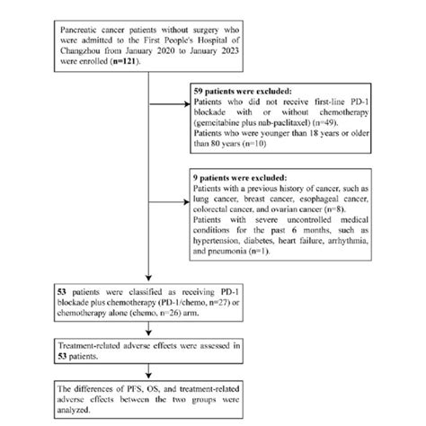 Patient Flow Chart Pd 1 Programmed Cell Death Protein 1 Pfs
