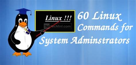 60 commands of linux a guide from newbies to system