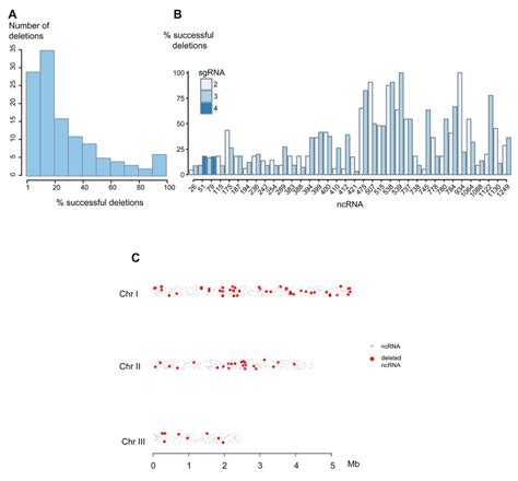 Deleting Non Coding Rnas Using Crispr Cas9 Based Approach A