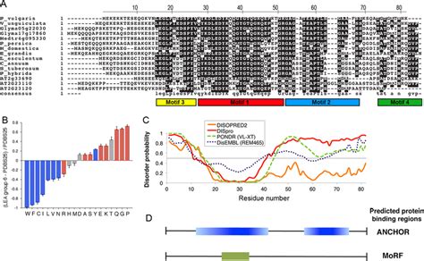 In Silico Analysis Of The Pvlea6 Protein Sequence A Alignment Of