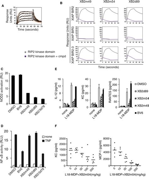 Disruption Of Xiap Rip2 Association Blocks Nod2 Mediated Inflammatory
