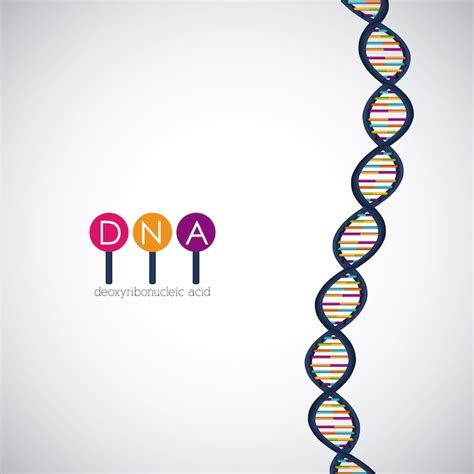 Premium Vector Dna Structure Chromosome Icon