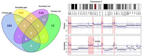 Acquirement Of Dna Copy Number Variations In Non‑small Cell Lung Cancer