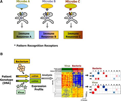Shifting The Paradigm Host Gene Signatures For Diagnosis Of Infectious