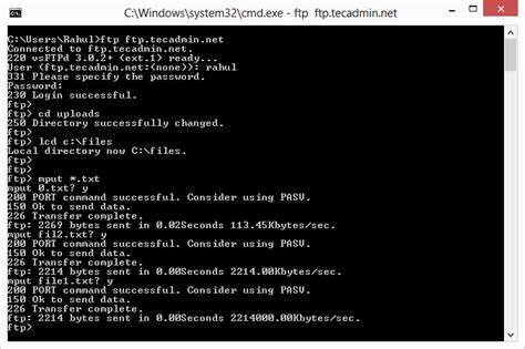 linux ftp command line put directory how much did 50 cent make off