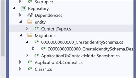 move entity framework core v5 0 to a separate project