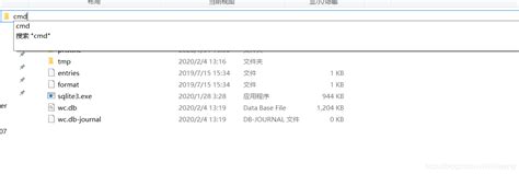 svn：cleanup failed to process the following paths 错误的解决方案 cleanup