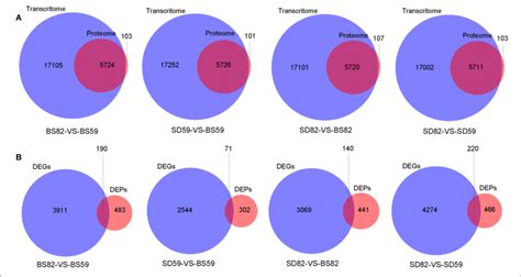 Venn Diagrams Of The Correlation Genes Between Proteome And