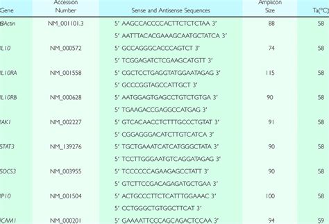 Primer Information Genbank Accession Number Of Deposited Mrna