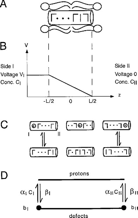 Figure 1 From A Combined Molecular Dynamics And Diffusion Model Of