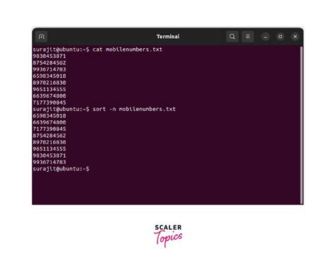 Basic Linux Commands With Examples Scaler Topics