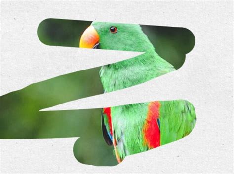 smooth scratch card for vue js scratchable vue script