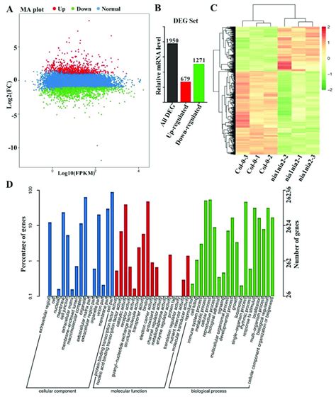 Nitrate Reductase Nr Deficient Mutant Nia1nia2 Plants Have Affected