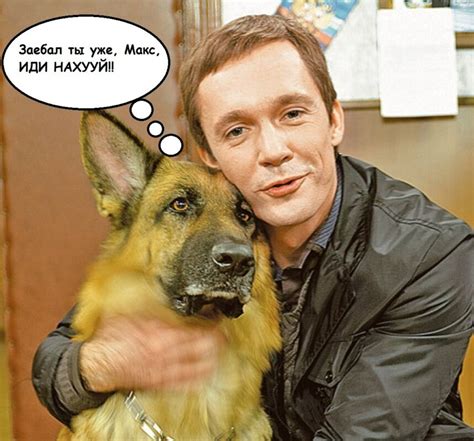 Максим кац собаки мем