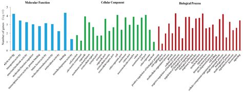 Ijms Free Full Text Identification Of Potential Gene Targets For